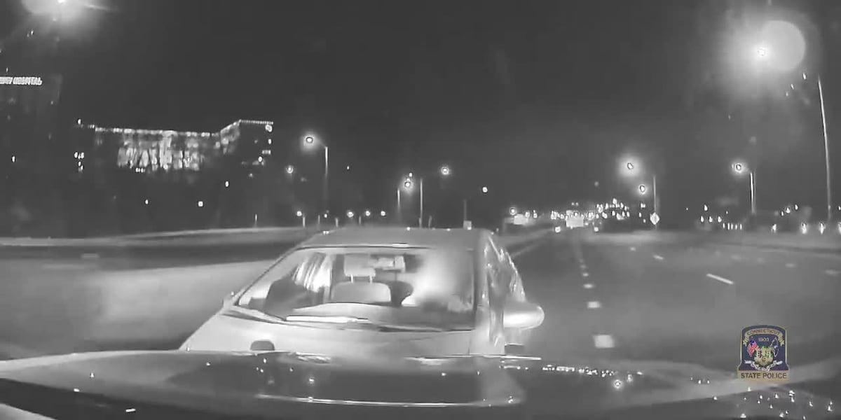 Dash Cam Footage Shows Trooper Intercept Wrong Way Driver On Route 8