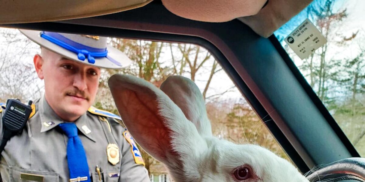 Conn. State Police issue warning to Easter Bunny Conn. State Police issue warning to Easter Bunny
